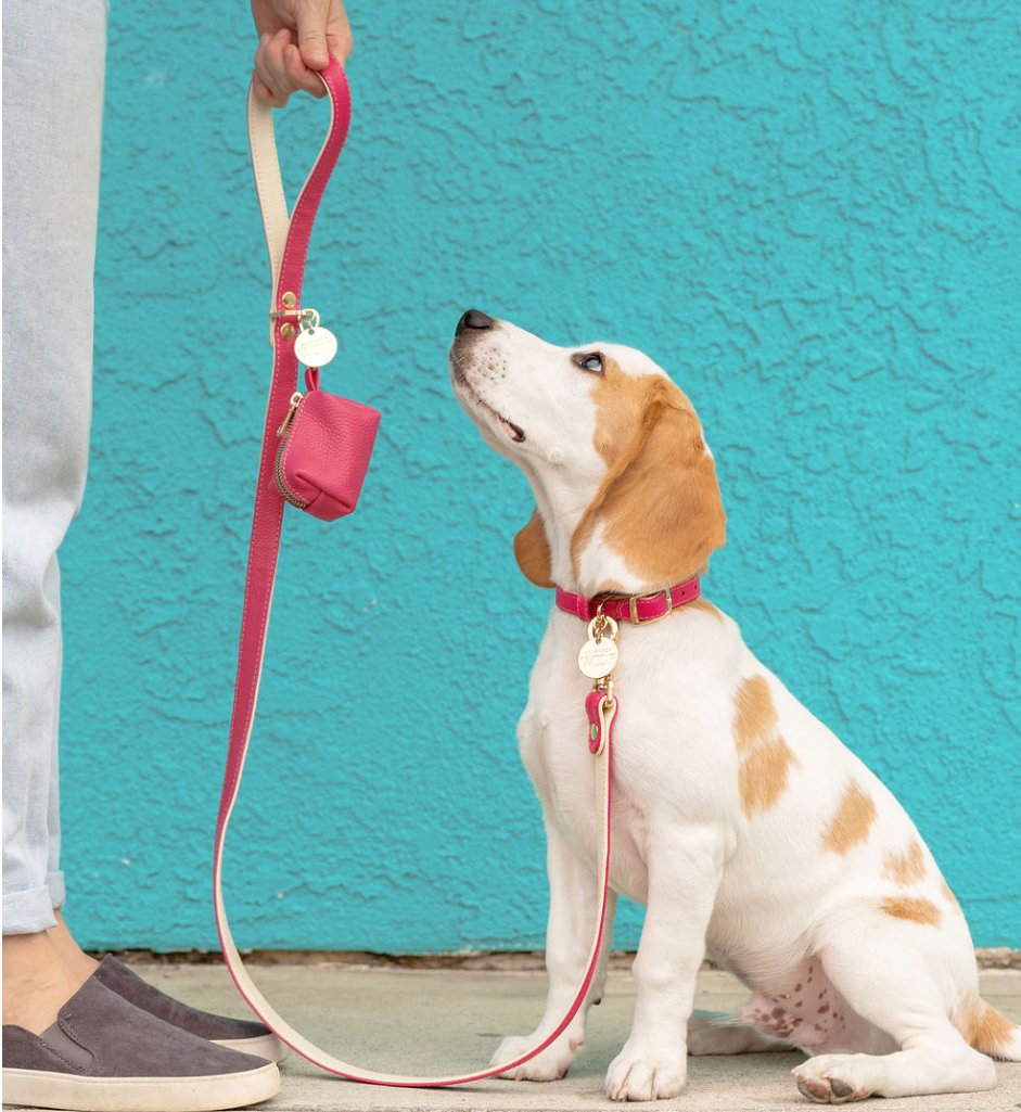 Poop Cases from NeighborWoof | Stylish Waste Bag Holders – Neighborwoof