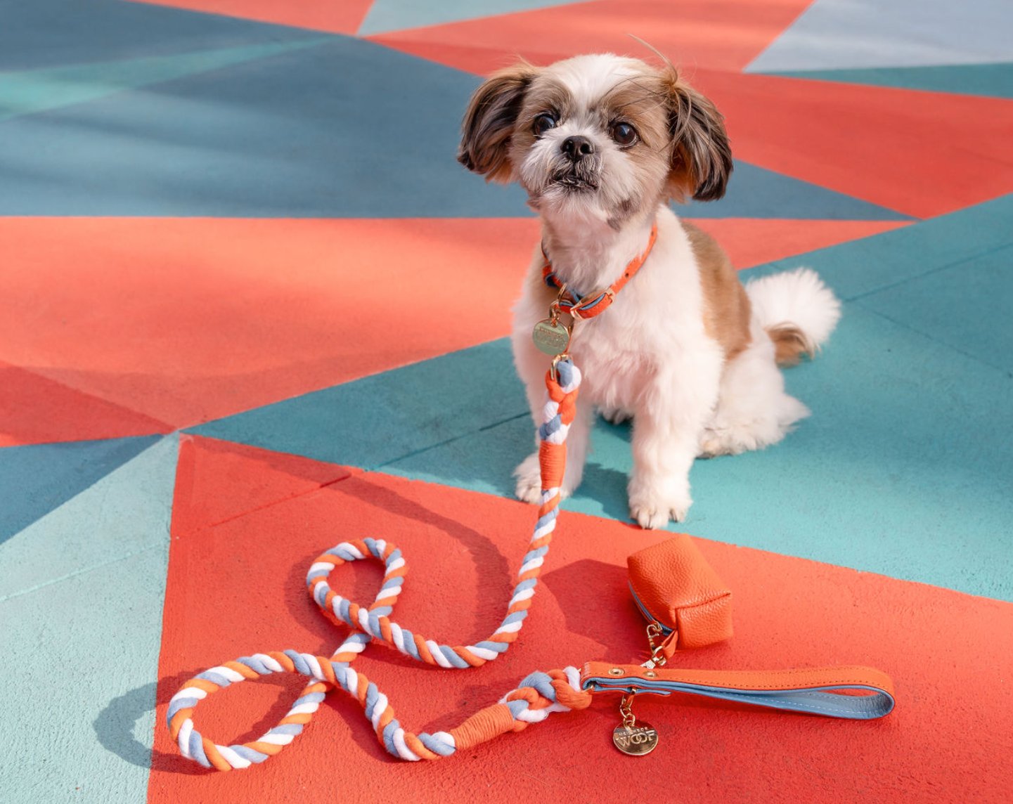 ROPE LEASHES for Stylish Dogs | Shop High Quality Dog Walking ...